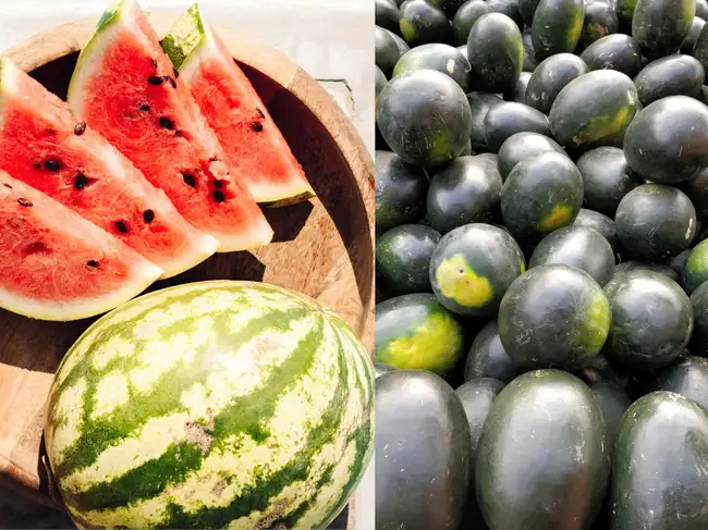 Striped vs Unstriped Watermelon: Which is healthier and which one ...