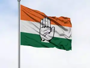 Goa: Congress demands arrest of right-wing speaker over 'objectionable ...