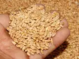 What is Export? Definition of Export, Export Meaning - The Economic Times