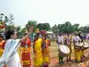 date polling: Latest News & Videos, Photos about date polling | The ...