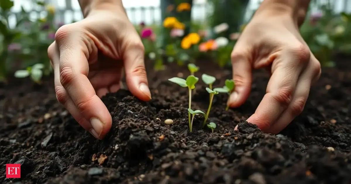 African proverb of the day on Knowledge: African proverb of the day ...