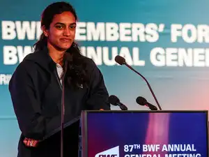 Percentage Calculator: calculate percentage of numbers online for free