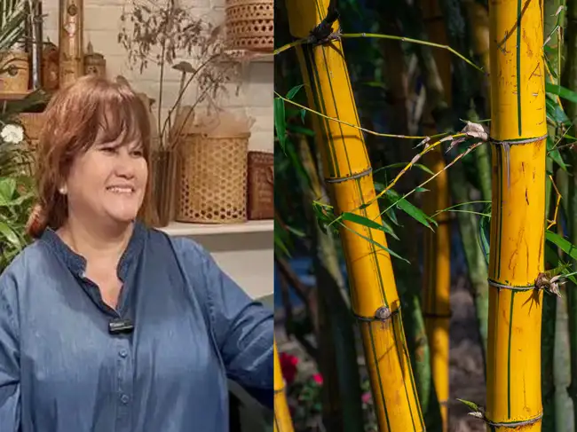 This Sikkim entrepreneur’s bamboo startup is so unique that even PM ...