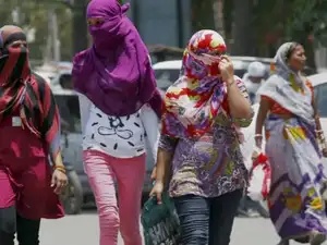 Percentage Calculator: calculate percentage of numbers online for free