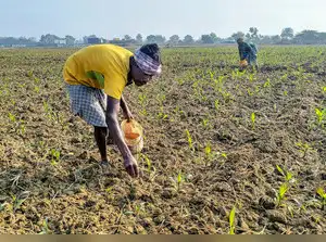 Percentage Calculator: calculate percentage of numbers online for free