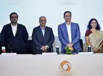 sun pharma: Sun Pharma-Organon deal: How a $12-billion merger will ...