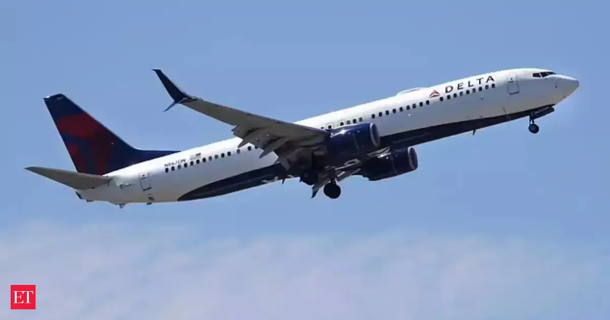 Delta Airlines childbirth: Baby on flight: Flyer gives birth to healthy ...