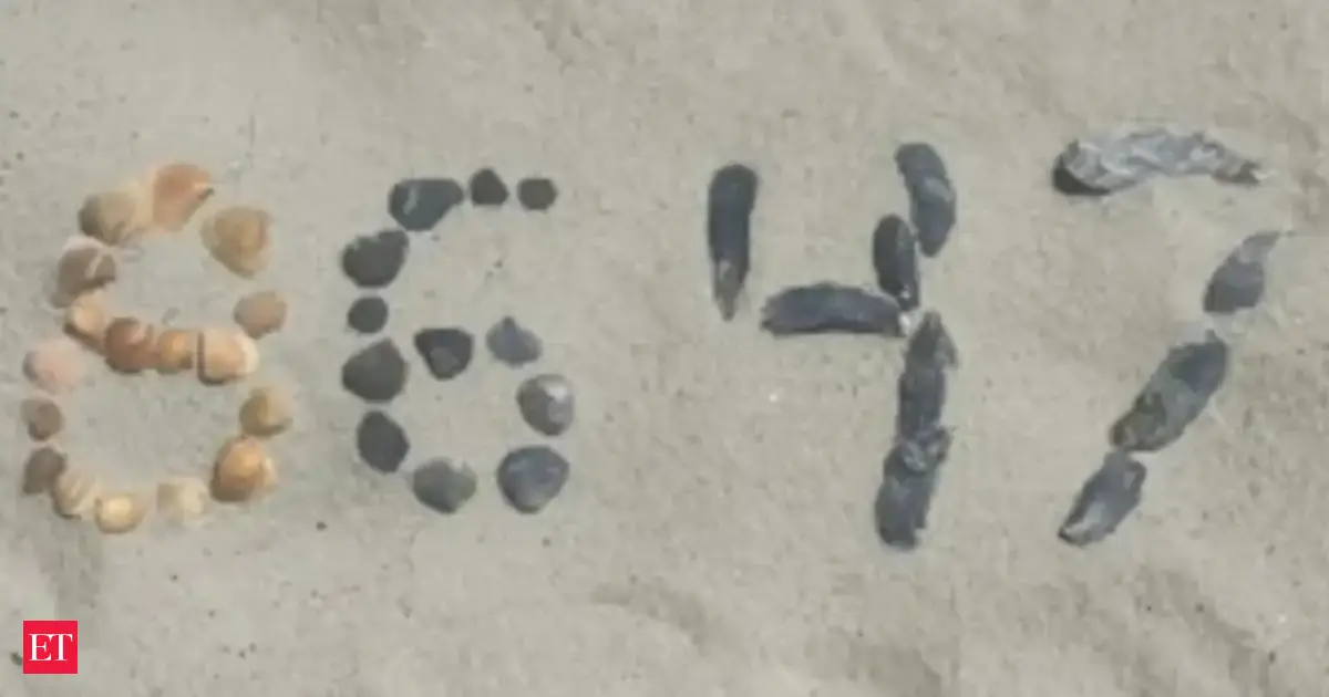 8647: What does 8647 written from seashells mean, and what is James ...