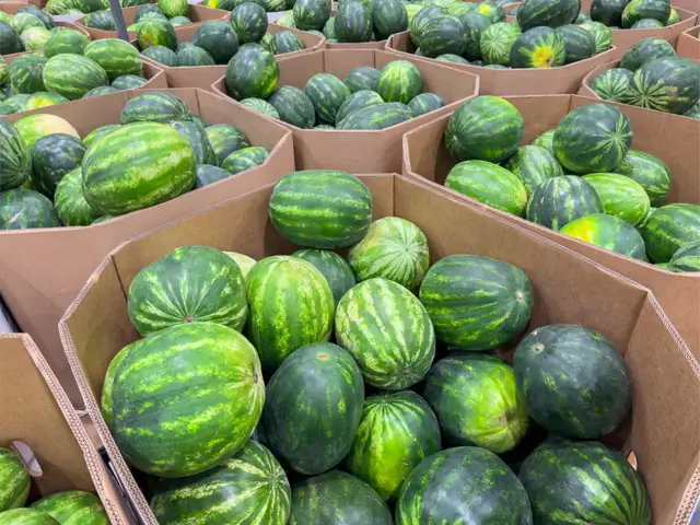 6 benefits of eating watermelon in summer - Heart-friendly fruit | The ...
