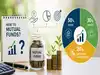 sundaram aggressive hybrid fund idcw monthly: Latest News & Videos ...