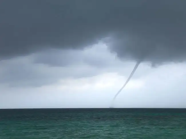 Near Odisha's Puri, a rare elephant trunk-like waterspout emerges from ...
