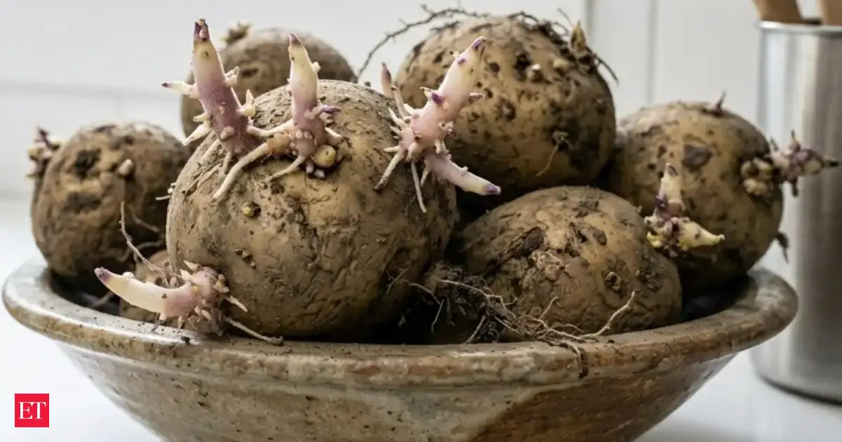 Are sprouted potatoes safe to eat? Here's what the science says