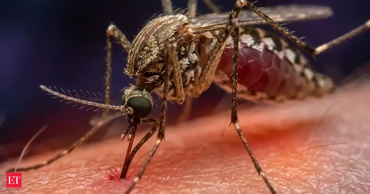 Scientists finally figured out how mosquitoes track and bite humans