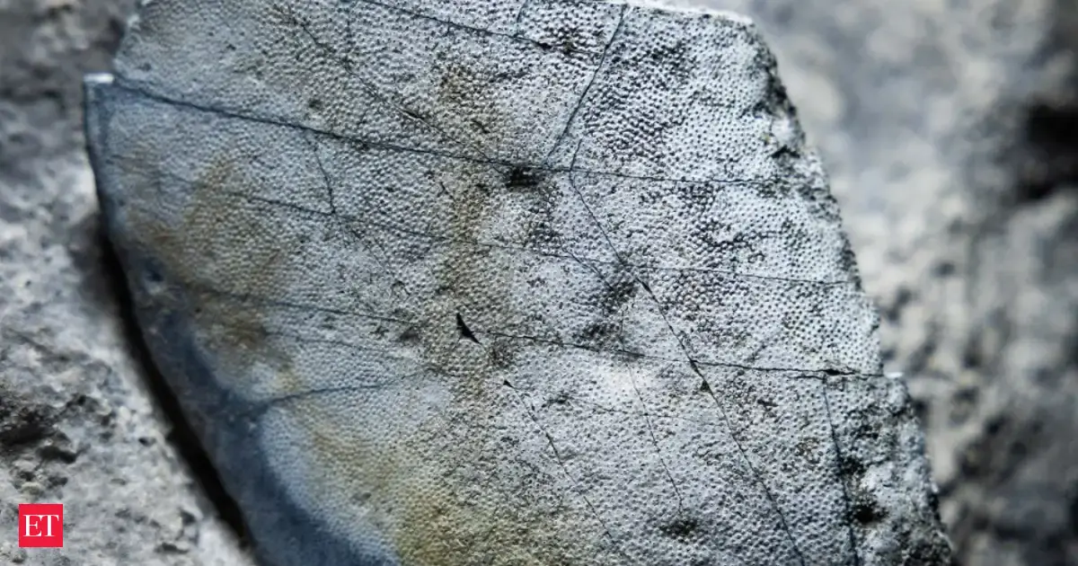 Scientists stunned after 330-million-year-old shark teeth emerge from ...