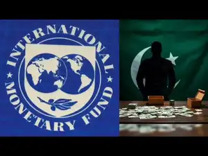 Pakistan receives USD 1.3 bn loan from IMF: Central bank - The Economic ...