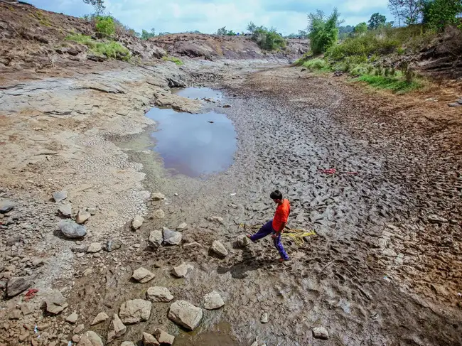 India’s top banks failing to tackle climate risk as threats grow - The ...