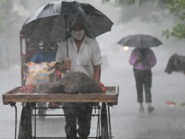 When will monsoon season begin in India? IMD shares update on arrival ...