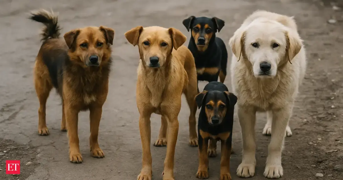Supreme Court allows euthanasia for rabid, incurably ill stray dogs ...