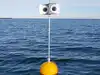 googly eyes experiment: Latest News & Videos, Photos about googly eyes ...