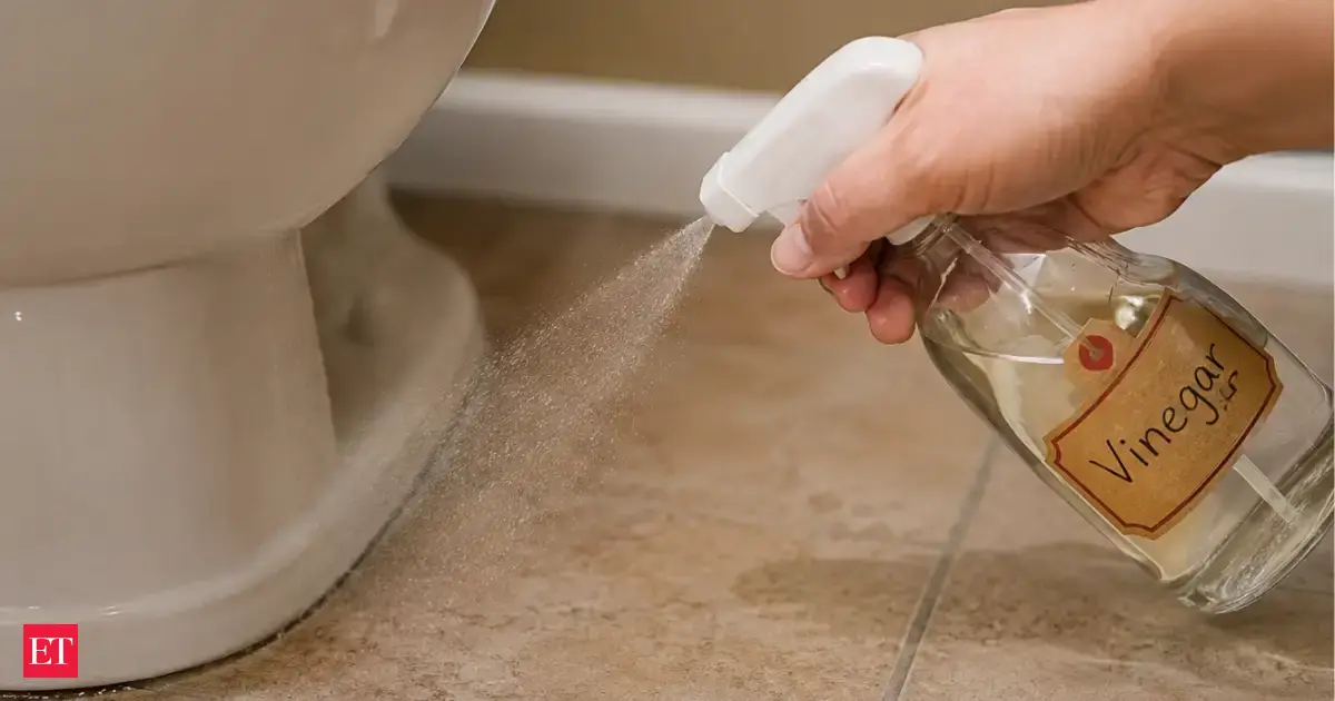 Why experts recommend spraying vinegar around your toilet every week