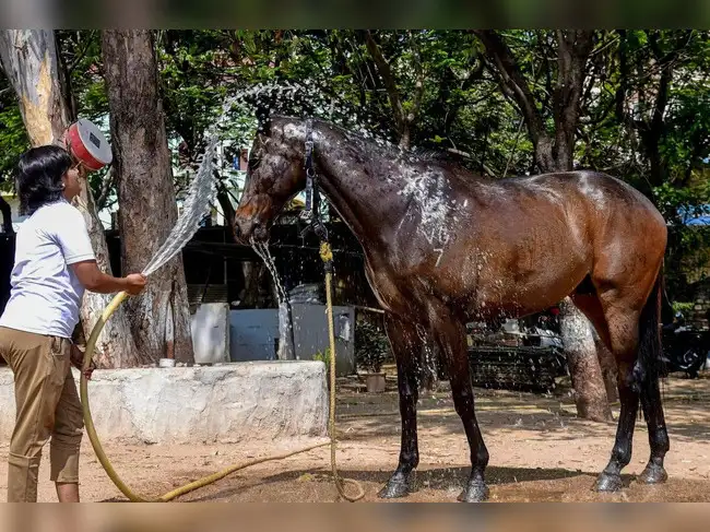 Telangana, Andhra Pradesh weather today: Hyderabad hits season’s ...