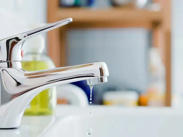 6 simple remedies to keep cockroaches away from your bathroom - Keep a ...