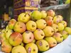 mango imports japan: Latest News & Videos, Photos about mango imports ...