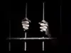 cyber cell delhi phone number: Latest News & Videos, Photos about cyber ...