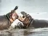 kanger ghati national park: Latest News & Videos, Photos about kanger ...