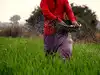 raj sardana innova solutions: Latest News & Videos, Photos about raj ...
