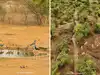 crimson desert climbing set: Latest News & Videos, Photos about crimson ...