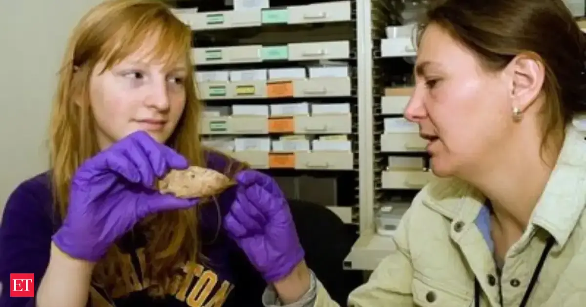 A freshman found a tiny stone on a Seattle campus, and what looked like ...
