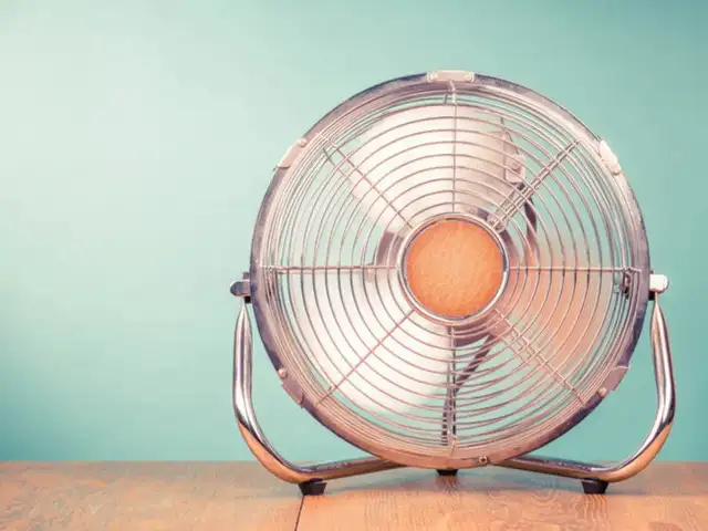 5 easy ways to keep mosquitoes away without a mosquito net - Stop water ...