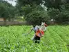 india fertilizer imports: Latest News & Videos, Photos about india ...