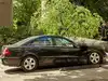buffalo tree service negative news News and Updates from The Economic ...