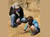 rare armored dinosaur: Latest News & Videos, Photos about rare armored ...