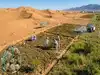 crimson desert flying mount News and Updates from The Economic Times ...