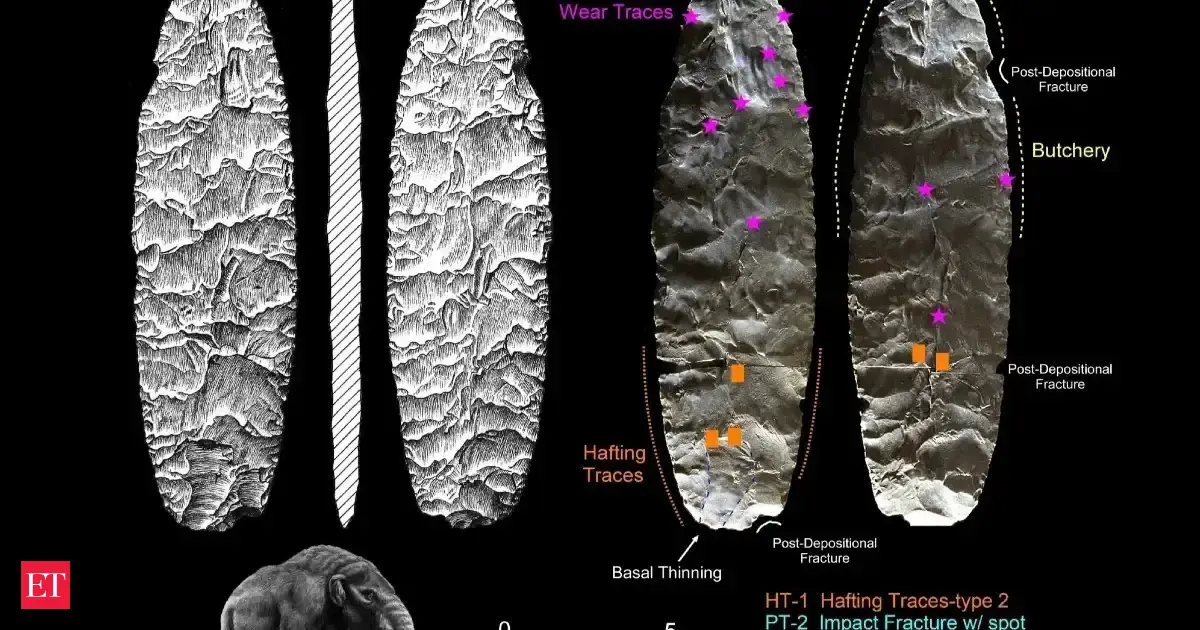 Scientists found rare microscopic Ice Age giant residues on ancient ...