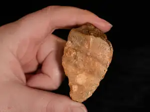 Archaeologists discovered ancient stone tools on Sulawesi, and it ...