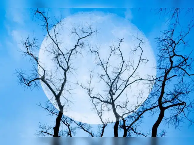 Blue Moon horoscope: Rare Blue Moon 2026 set to shake every zodiac sign ...