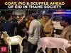 bhumkar hospital thane wet: Latest News & Videos, Photos about bhumkar ...