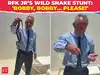 chikni chameli viral dance: Latest News & Videos, Photos about chikni ...