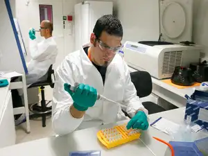 brain aging: Scientists say this simple thing may reverse brain aging ...