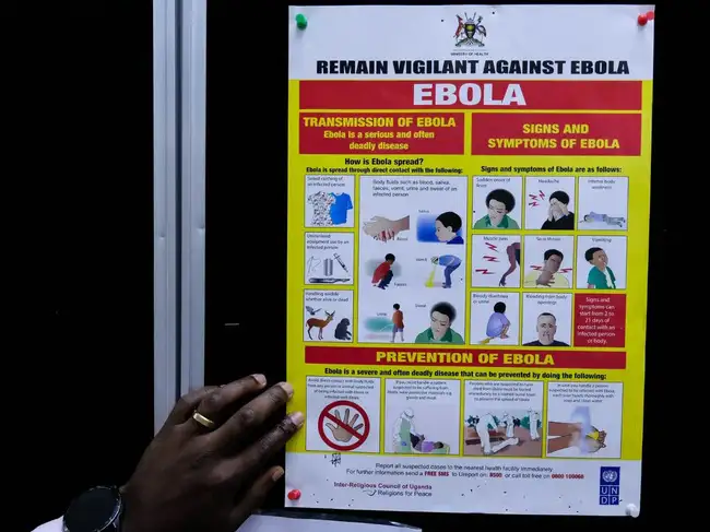 Uganda national isolated in Bengaluru tests negative for Ebola - The ...