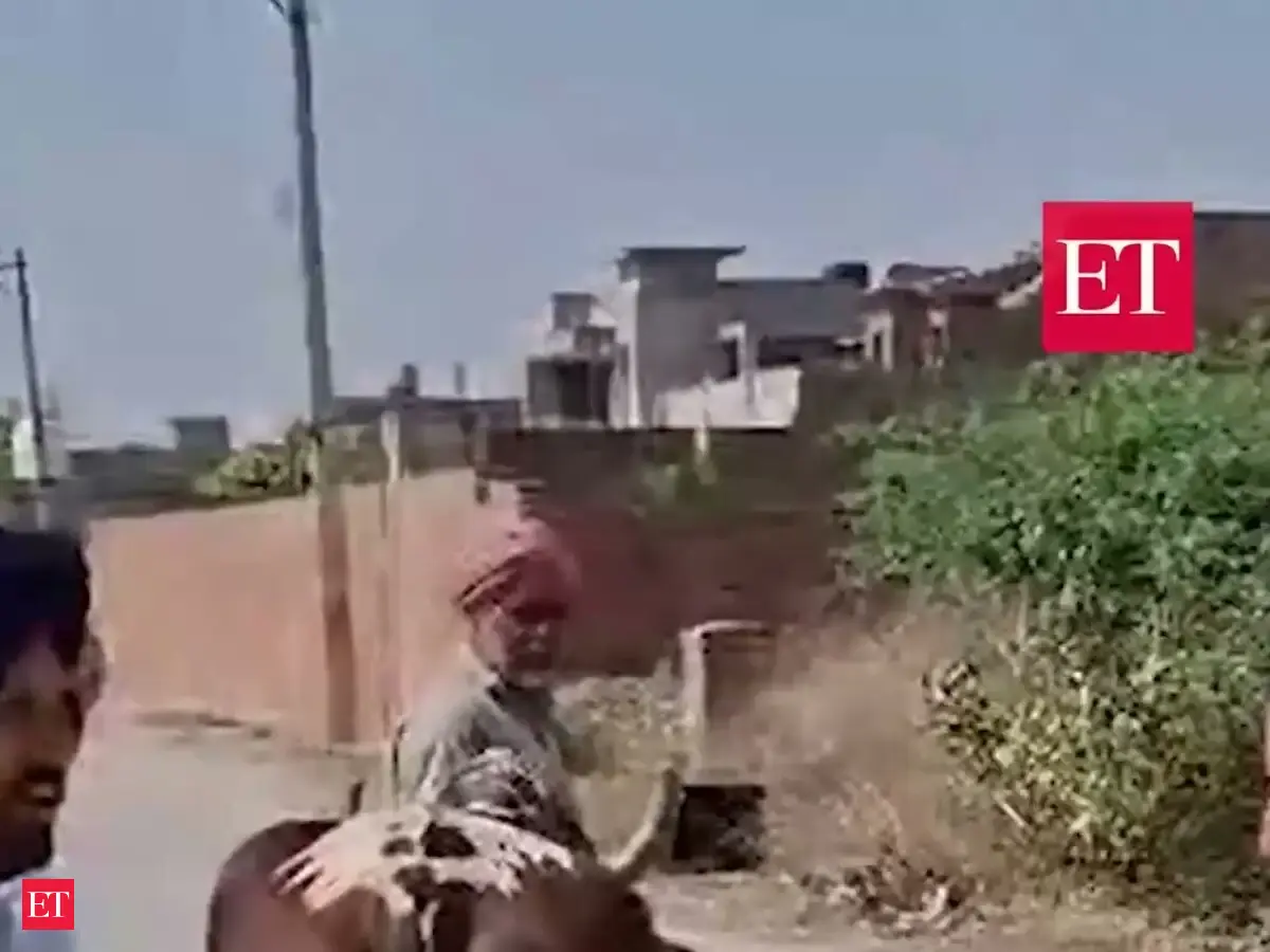 Punjab Congress chief, wife take bullock cart to poll booth as protest ...
