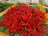 color dye steal a brainrot: Latest News & Videos, Photos about color ...