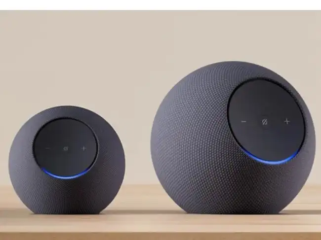 'Alexa has to become the command centre of your life': Amazon’s Malvika ...