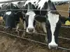 generalite sur la grossesse: Latest News & Videos, Photos about ...