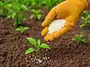 yara fertilisers india private limited: Latest News & Videos, Photos ...