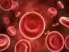evolution of blood cells: Latest News & Videos, Photos about evolution ...